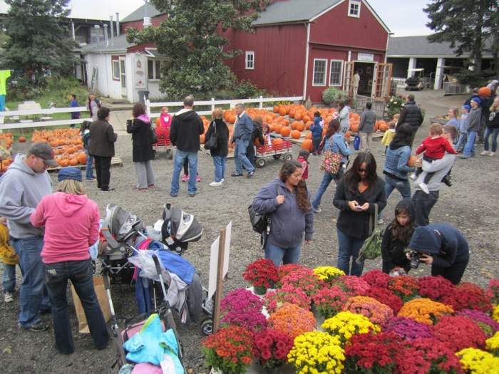 Farm Festivals - Terhune Orchards