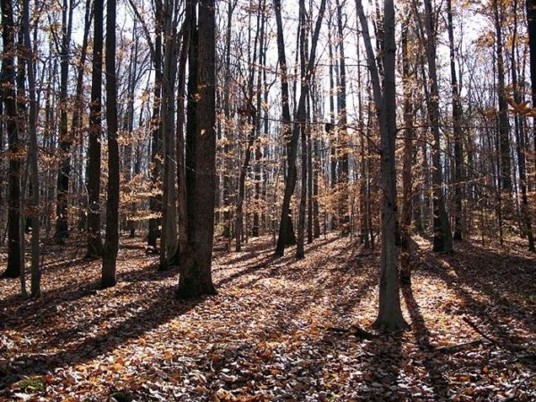Farm Trail Discovery Walk - Terhune Orchards