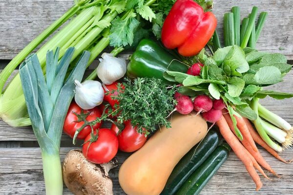 Terhune Orchards - Family owned winery and orchard in Central NJ